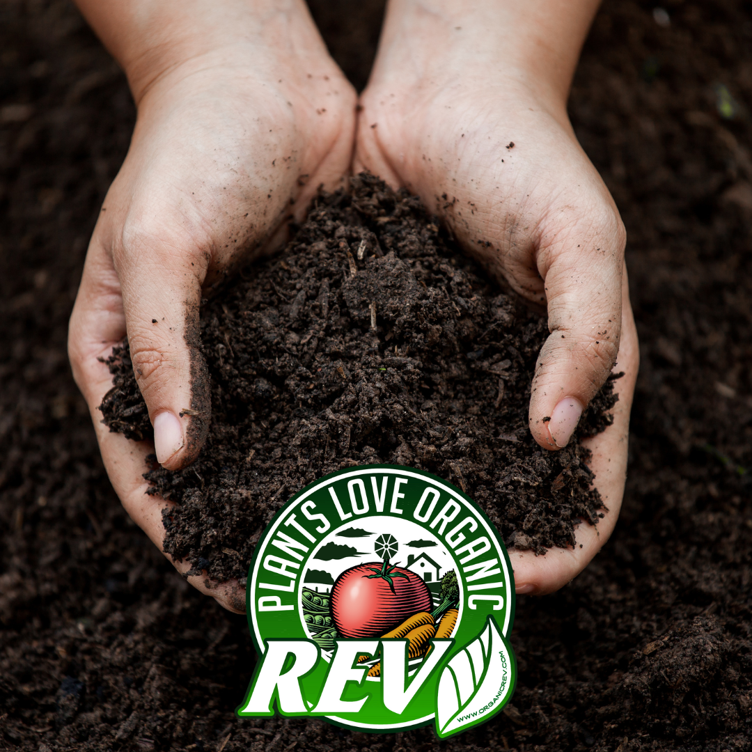 Unlock the Secret to Thriving Plants: The Power of Accessible Soil Car ...