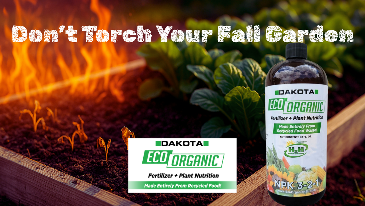 Stop Fall Fertilizer Burn: Feed Smarter with Eco-Organic – OrganicRev