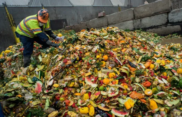 Battling The Food Waste Crisis – OrganicRev