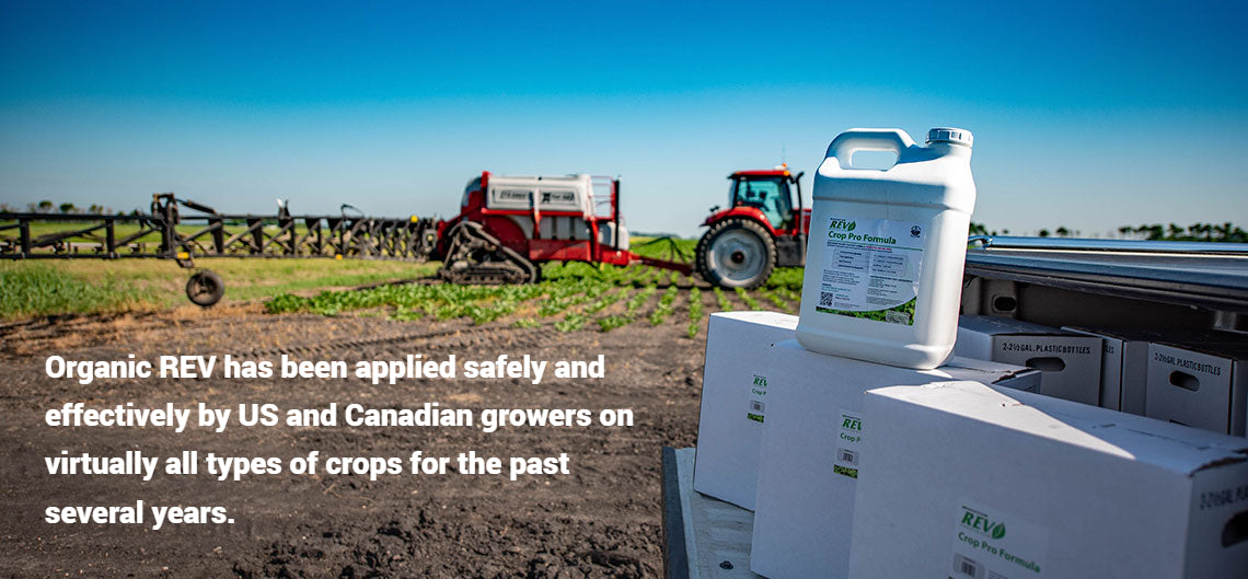 Farmers are seeing amazing increases in yield after applying Organic R ...