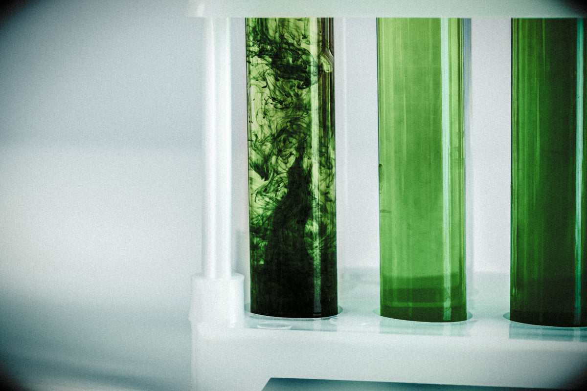 Marine Microalgae - Your NEW Best Friend In The Garden – OrganicRev