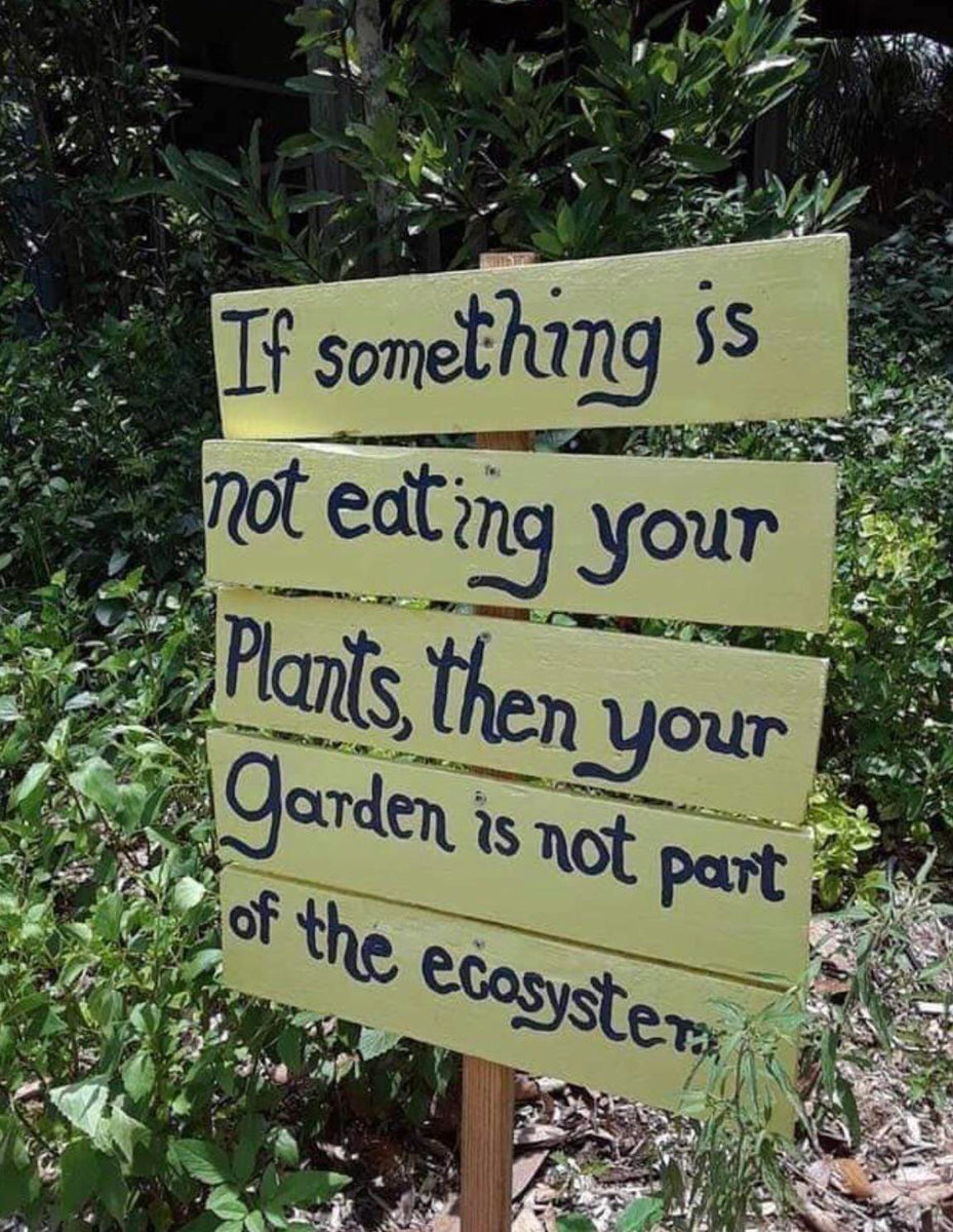 Crafting a Balanced Ecosystem: The Organic Gardeners' Guide – OrganicRev