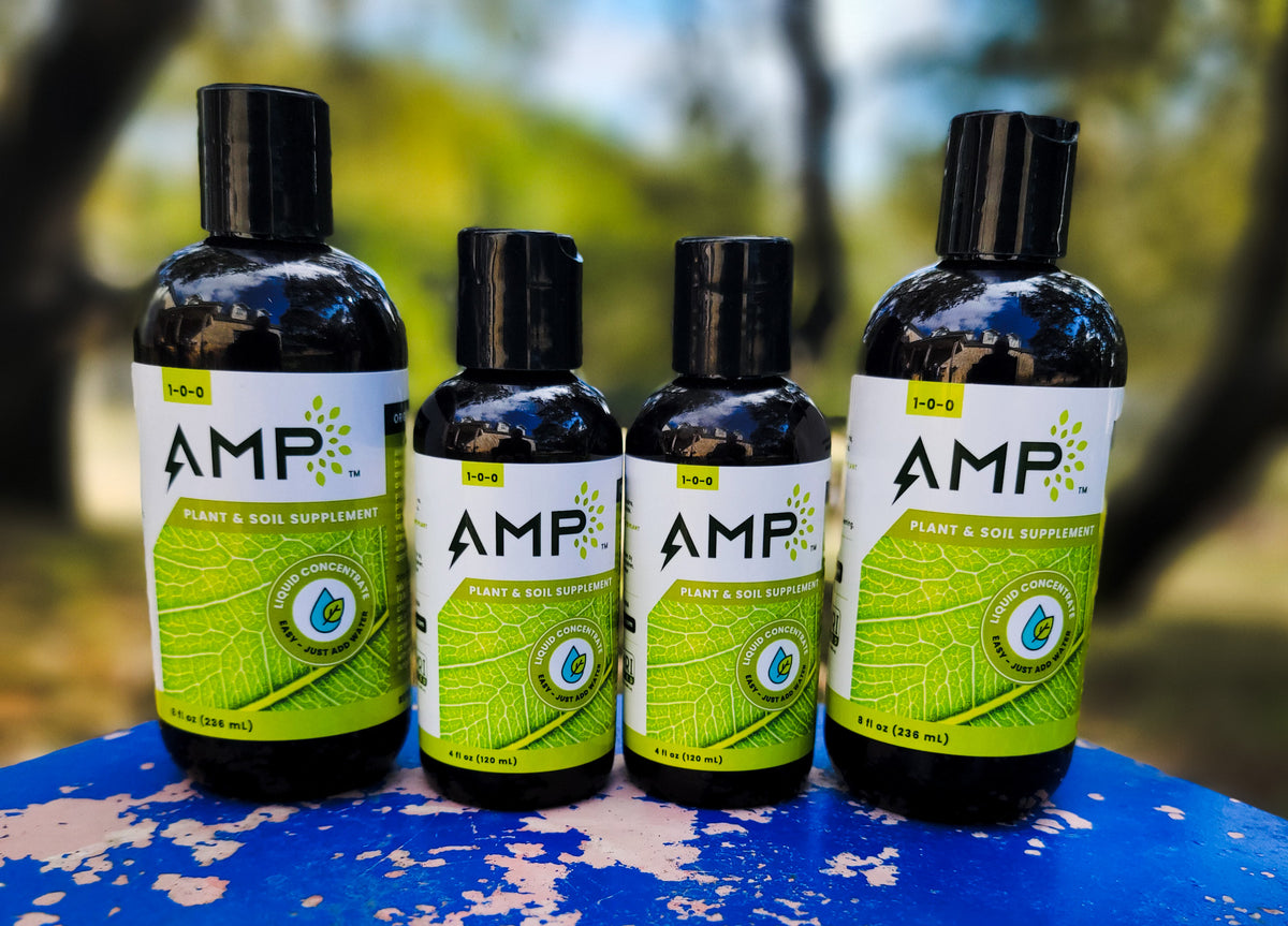 Seed Germination & Root Growth Boosters | AMP Microalgae Biostimulants ...