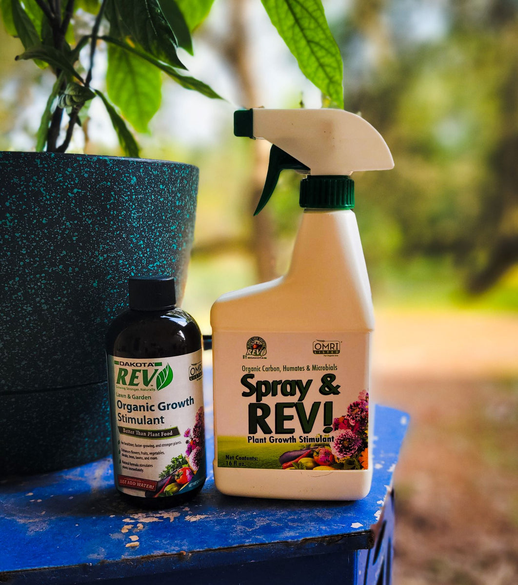 Bang For Your Buck Bundle – OrganicRev