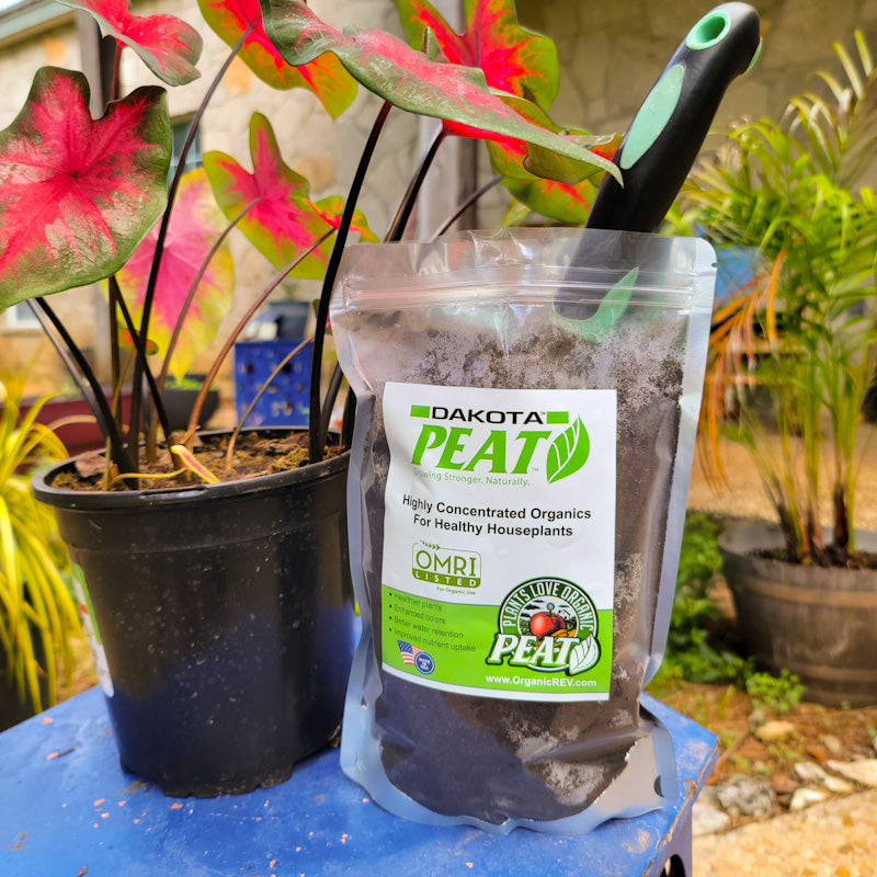 DAKOTA Peat – Premium Organic Soil Conditioner for Healthier Plants ...