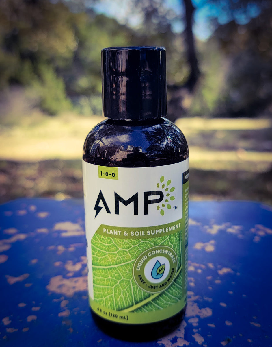 AMP Organic Biostimulant 4oz Bottle - harness the power of Algae. NEW ...